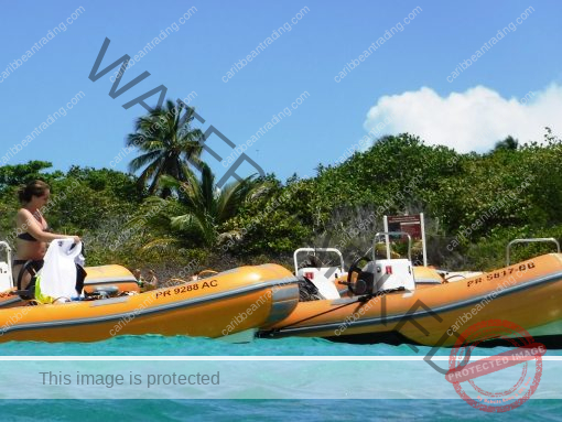 12 Awesome Adventures in Northeast Puerto Rico | Puerto Rico Travel