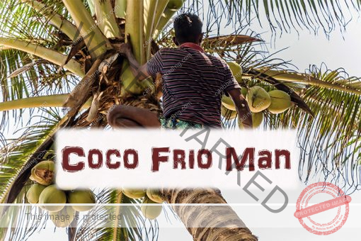 Coco Frio (Cold Coconut Water) | Puerto Rico & Caribbean Travel News