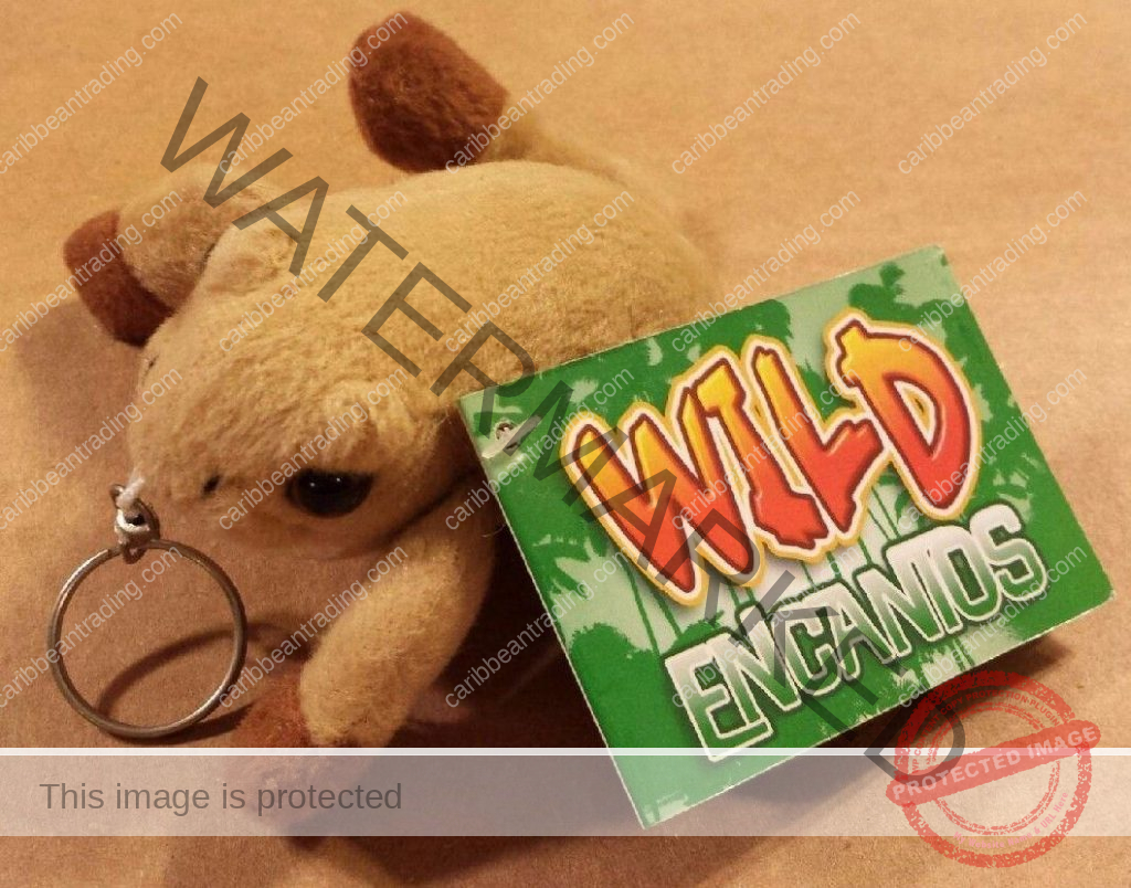 Coquis: A Puerto Rican Cultural Icon | Puerto Rico Travel News