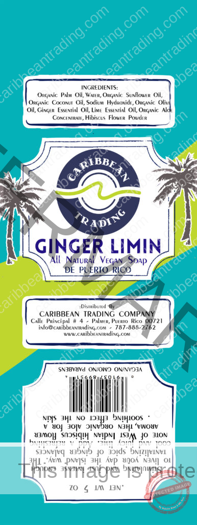 Spiced Ginger Spa Gift Set | Your Puerto Rico / Caribbean Connection