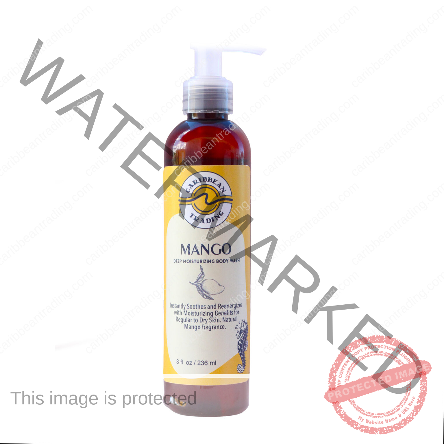 Mango Body Wash-8 oz. |Mango Body Wash