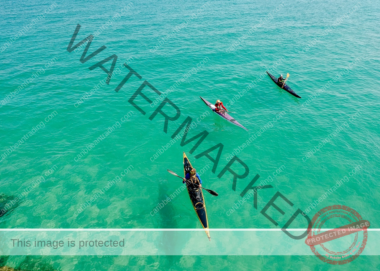 Kayaking Puerto Rico | Puerto Rico & Caribbean Travel News